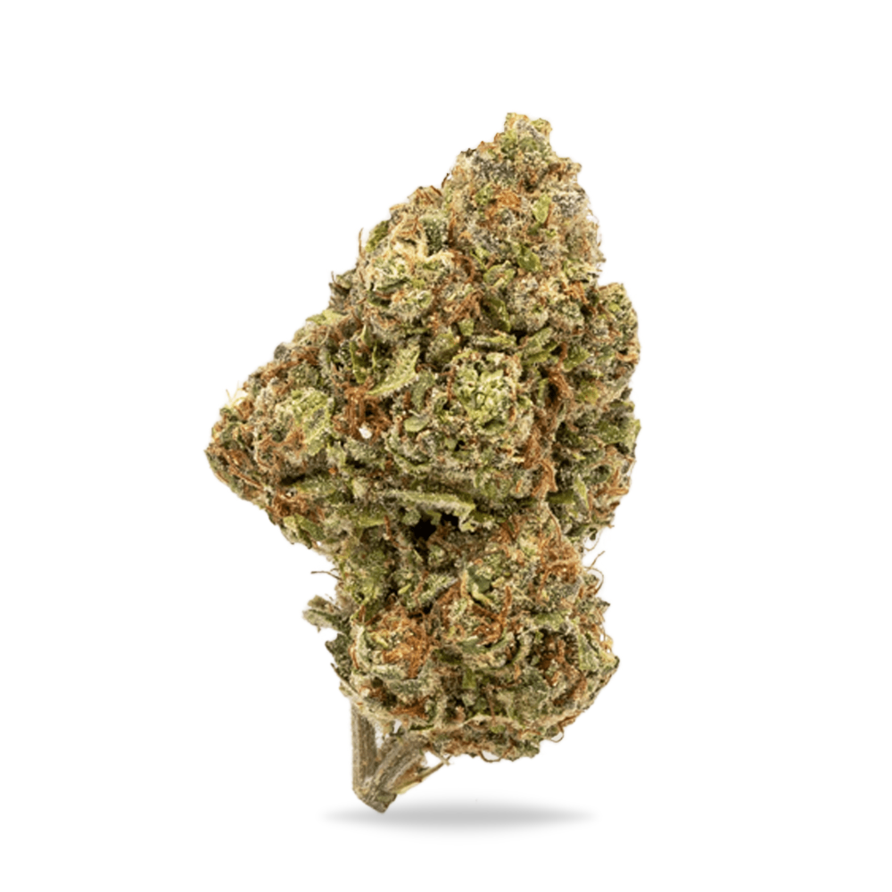 Gary Payton THCA Flower | Blue Moon Hemp Wholesale