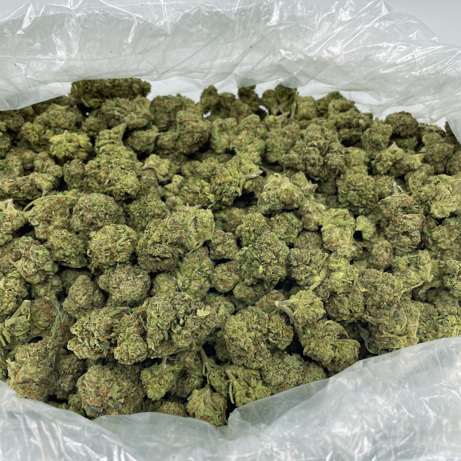 THC-A Flower Blueberry Muffin - 1/2lb | Blue Moon Hemp Wholesale