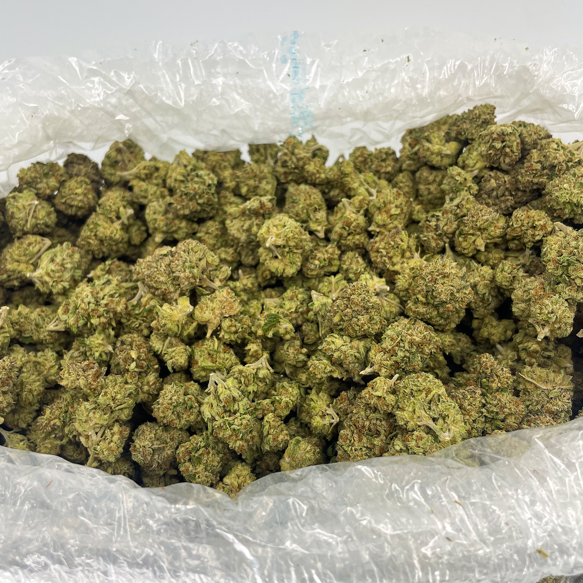 THC-A Flower Detroit Runtz - 1lb | Blue Moon Hemp Wholesale