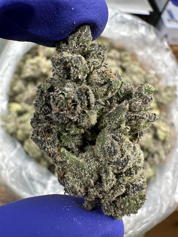 Blue Fire Exotic THC-A Flower | Blue Moon Hemp Wholesale