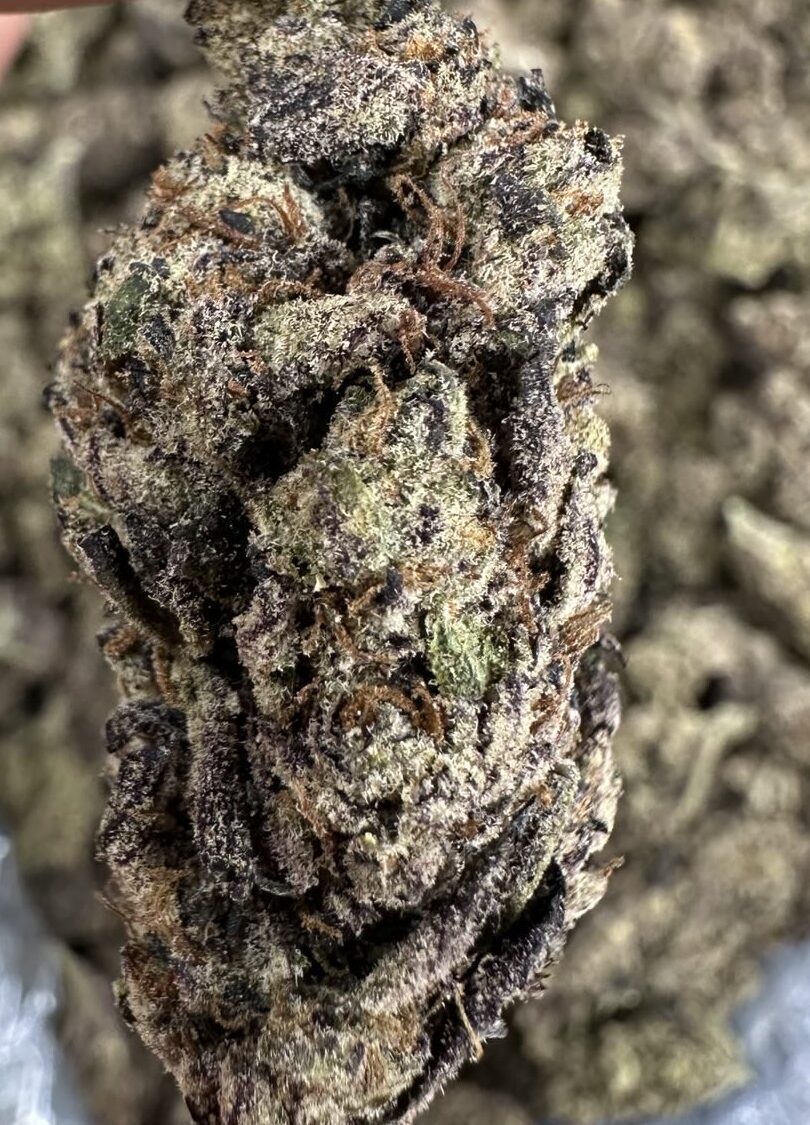THCA Flower Lava Cake | Blue Moon Hemp Wholesale