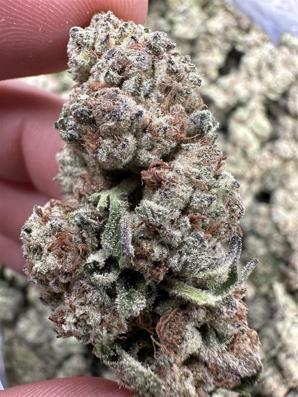 THC-A Flower Trop Cherries (Select) | Blue Moon Hemp Wholesale