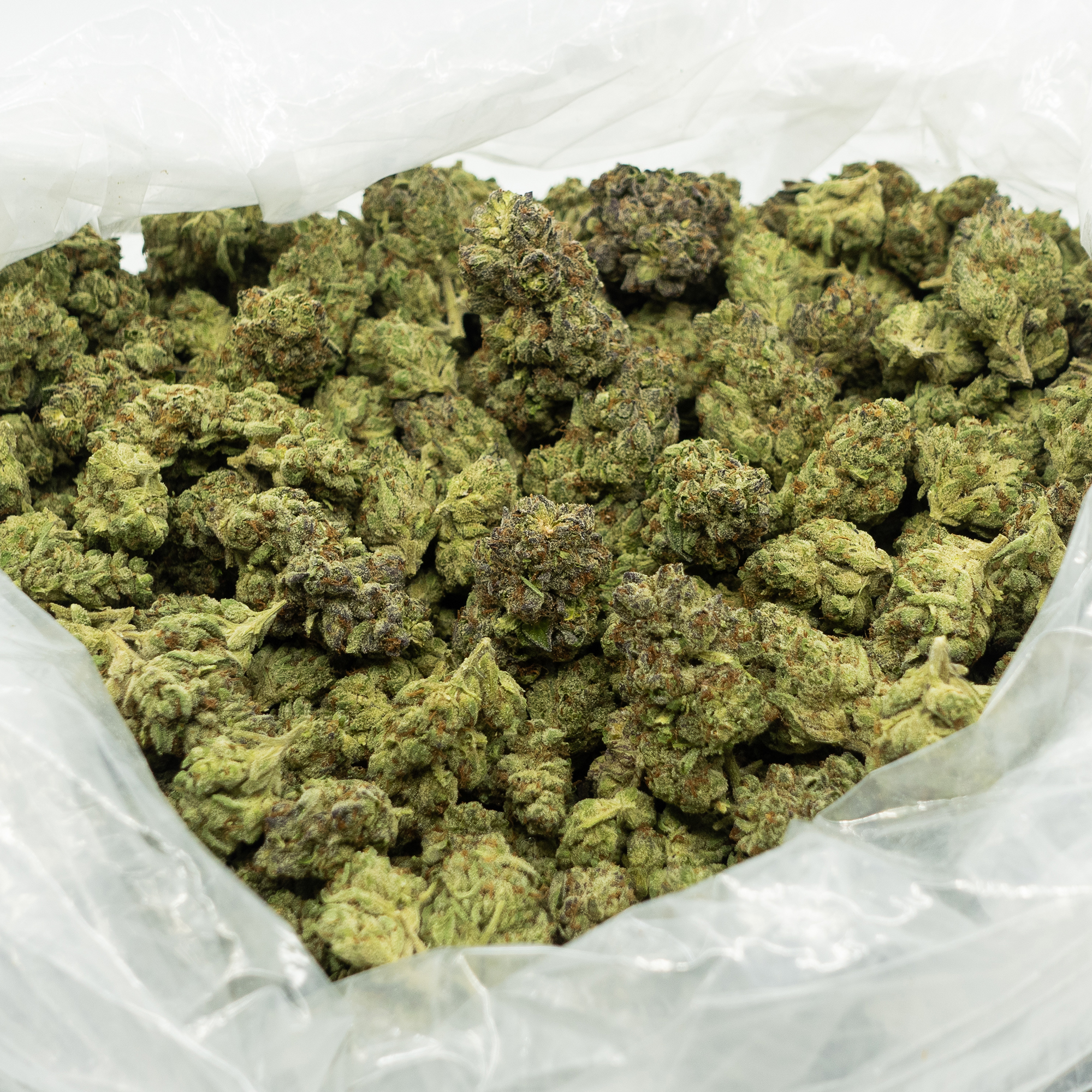 THC-A Flower King Gelato - 1lb | Blue Moon Hemp Wholesale