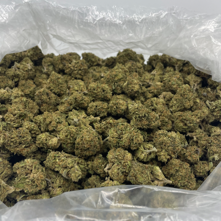 THC-A Flower Oreo Runtz - 1lb | Blue Moon Hemp Wholesale