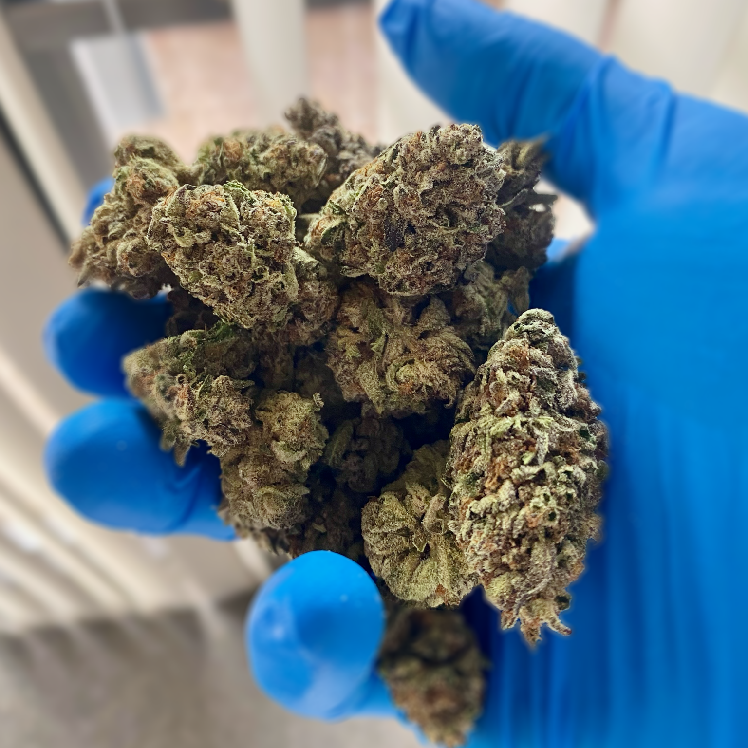 THC-A Flower LA Kush - 1lb | Blue Moon Hemp Wholesale